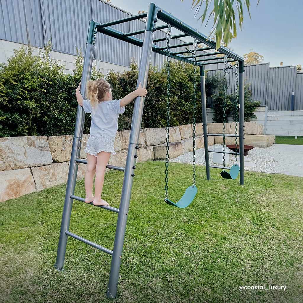 Stanley Commercial Steel 2-in-1 Monkey Bars & Swing Set – Lifespan Kids